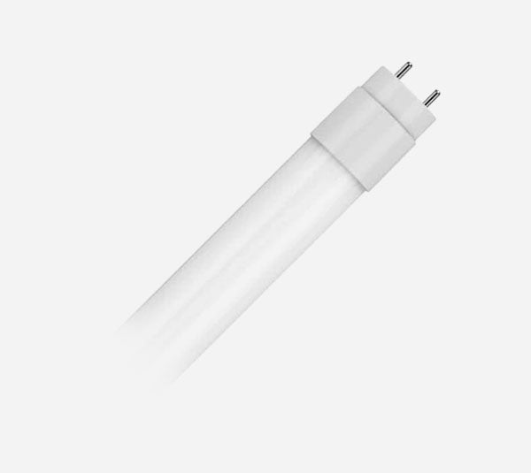 4FT LED T8 5000K - TYPE (A+B)– JENCO CANADA INC.